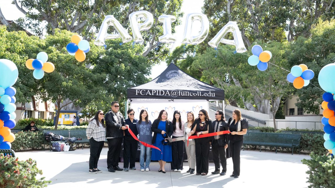 About Our Grant | APIDA Amplified Program